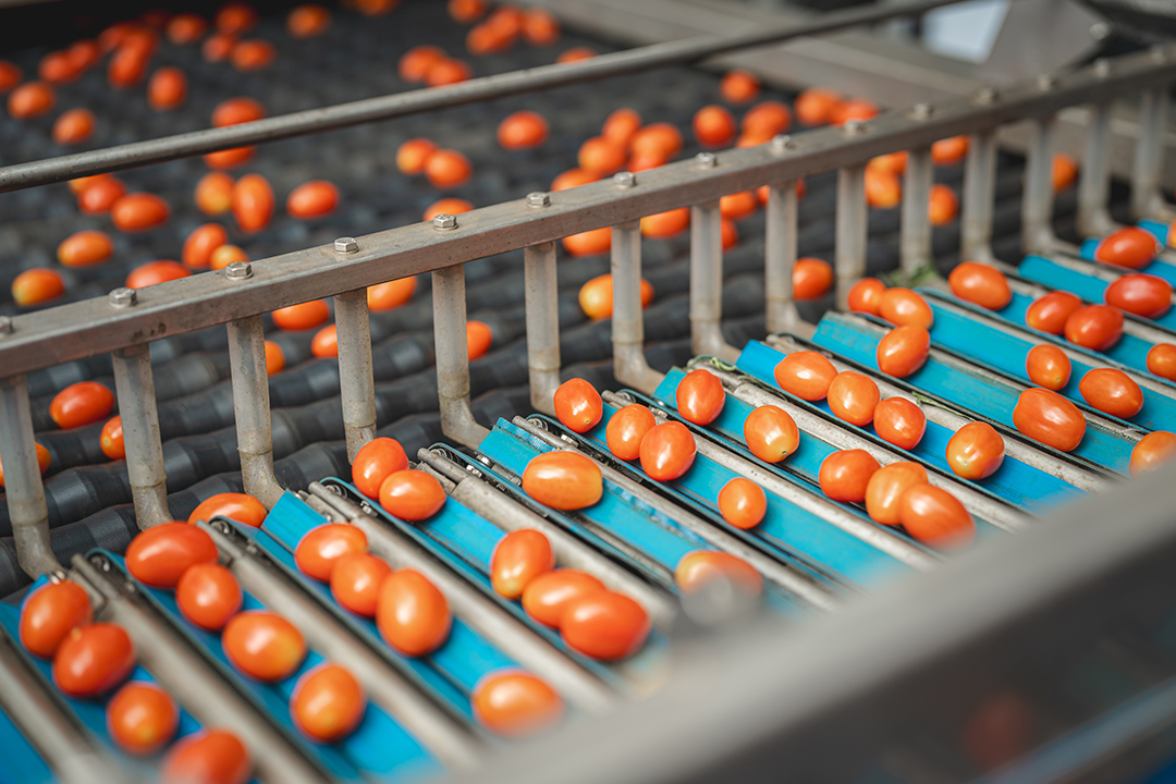 Geavanceerde Optische Sorteermachines - TechNature