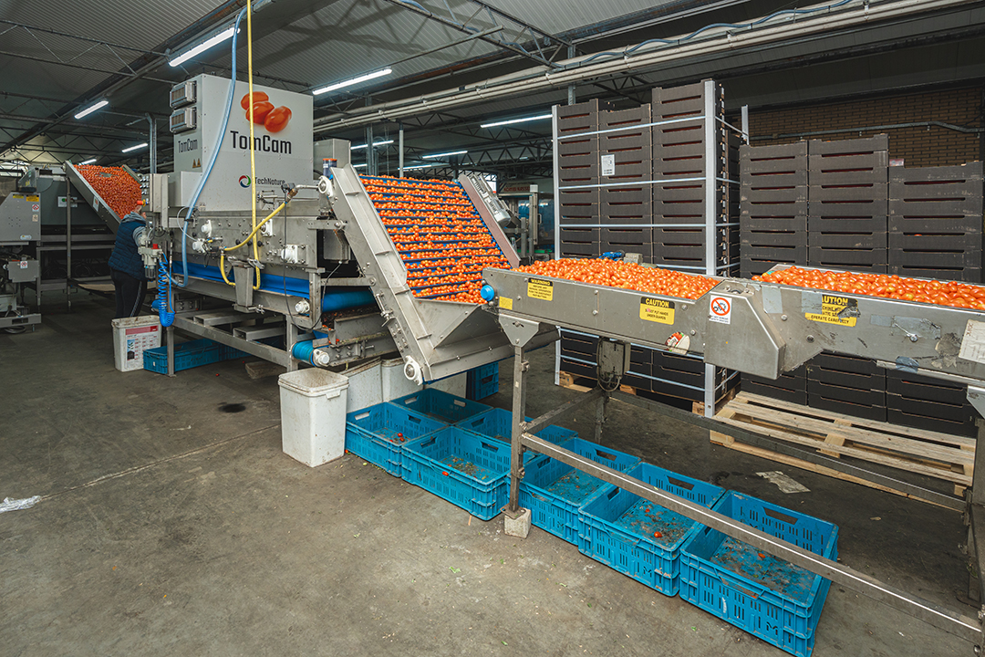 Geavanceerde Optische Sorteermachines - TechNature